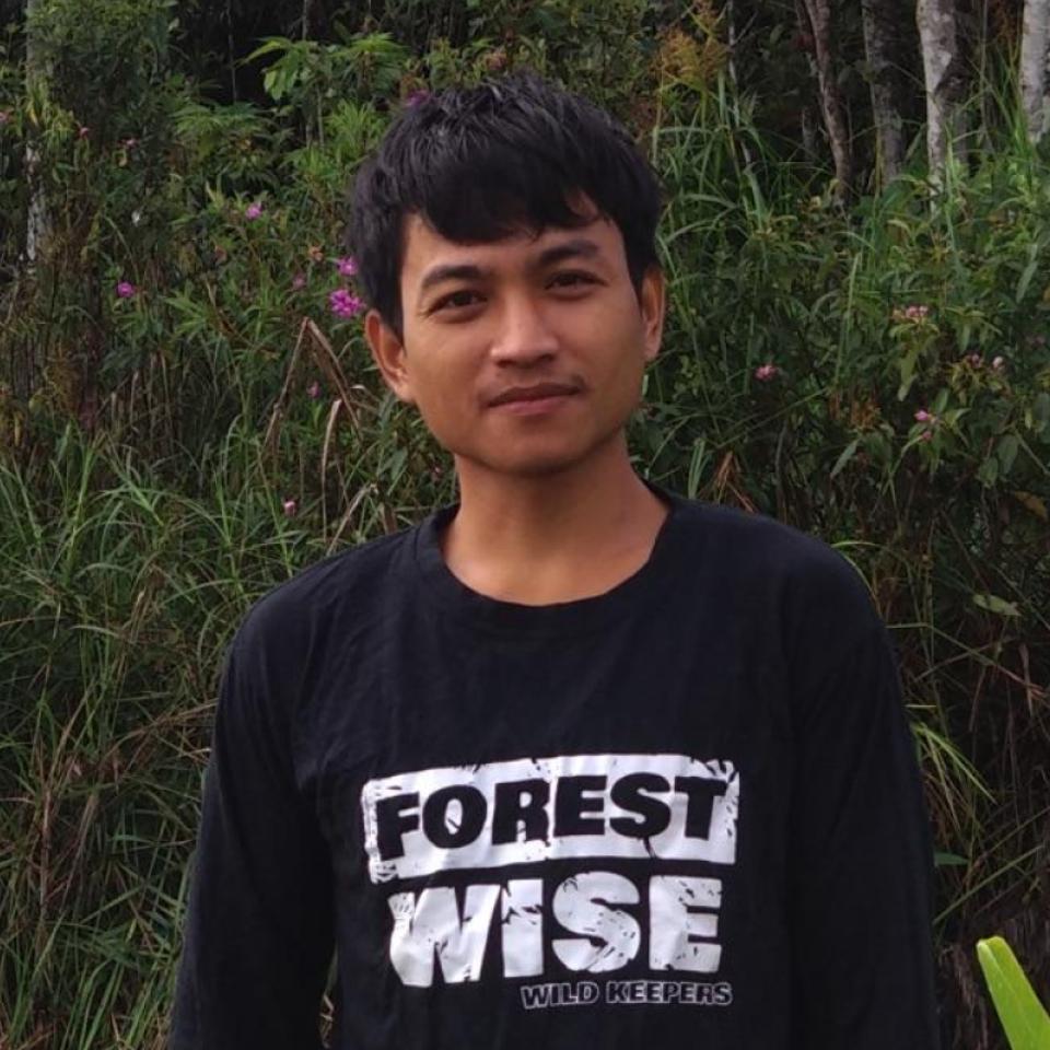 Forestwise - About us